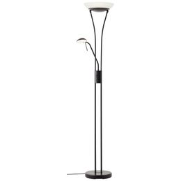 Brilliant Deckenfluter &raquo;Finn&laquo; 1 Stk. Warmwei&szlig; Lesearm, Drehdimmer - 179cm H&ouml;he - 2500 Lumen, 3000 Kelvin, warmwei&szlig; schwarz 1, H: 179cm, 1 Stk.