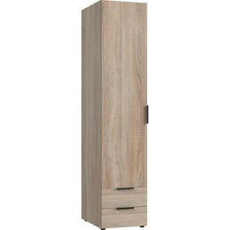 wimex Kleiderschrank &raquo;Modena&laquo; Dreht&uuml;ren-Schrankprogramm braun Holzwerkstoff Eiche S&auml;gerau Nachbildung, B/H/T: 40cm x 185cm x 54cm