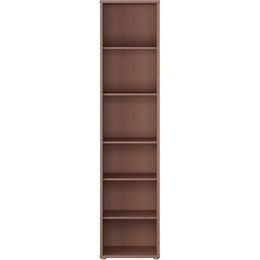 FORTE Mehrzweckregal &raquo;Alice Springs&laquo; diverse H&ouml;hen, Breiten, Dekore, Einlegeb&ouml;den variabel braun Holzwerkstoff B/H/T: 49,8cm x 214,3cm x 34,9cm, 6 Stk