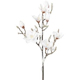 Creativ light Kunstzweig &raquo;Weihnachtsdeko&laquo; Magnolie in beschneiter Optik, 15 LEDs, 115 cm, Batterie 3xAA wei&szlig; B/H/L: 115cm