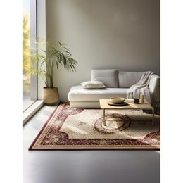 NORTHRUGS Teppich &raquo;Adraskan&laquo; rechteckig 8 mm H&ouml;he Orient Optik, L&auml;ufer, strapazierf&auml;hig, pflegeleicht, robust rot Polypropylen B : 80cm 1 Stk., 8mm, L