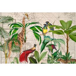 Livingwalls living walls Fototapete &raquo;ARTist Palm Tree Map&laquo; Vlies, Wand, Schr&auml;ge bunt Vlies B/L: 4m x 2,7m