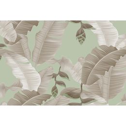Livingwalls living walls Fototapete &raquo;ARTist Heliconia&laquo; Vlies, Wand, Schr&auml;ge grau Vlies B/L: 4m x 2,7m