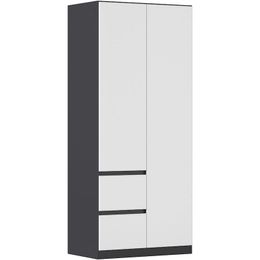 Rauch Dreht&uuml;renschrank &raquo;Mehrzweckschrank Aktenschrank Mietswohnung Garderobe MAINZ 91cm breit&laquo; 3 verschiedene Ausstattungen BASIC/CLASSIC/PREMIUM (