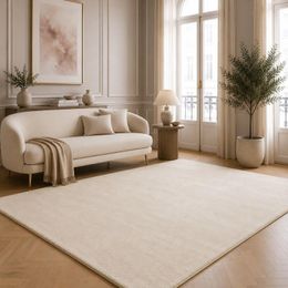 the carpet Teppich &raquo;kuschelig & Super Soft, Anti-Rutsch Unterseite,&laquo; rechteckig 16 mm H&ouml;he Waschbar bis 30 Grad, Felloptik, Wohnzimmer Teppich, 