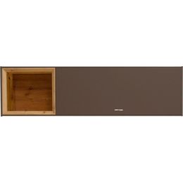 M&auml;usbacher H&auml;ngevitrine &raquo;Frame&laquo; Breite 35 braun Einheitsgr&ouml;&szlig;e