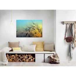 A.S. Cr&eacute;ation Leinwandbild &raquo;Flying Dandelion&laquo; Gem&auml;lde Kunst 1 Stk. tlg. Pusteblume Keilrahmen Leinwand-Bild Wohnzimmer modern Wandbild Kinder bunt Holz, Stahl B/H/T