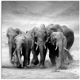Artland Wandbild &raquo;Elefanten&laquo; Wildtiere 1 Stk. tlg. als Leinwandbild, Poster in verschied. Gr&ouml;&szlig;en schwarz Leinwand B/H/T: 70cm x 70cm, Leinwandbild Wildtiere 