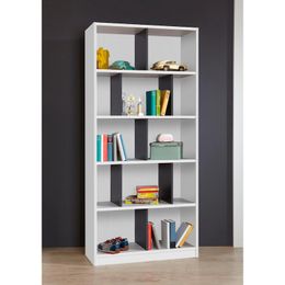 wimex Standregal &raquo;Joker&laquo; B&uuml;cherregal, Mehrzweckregal mit vielen F&auml;chern, 198cm hoch, 90cm breit wei&szlig; B/H/T: 90cm x 198cm x 38cm