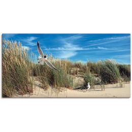 Artland Leinwandbild &raquo;M&ouml;we und Seeschwalbe in D&uuml;nenlandschaft&laquo; V&ouml;gel 1 Stk. tlg. auf Holzrahmen gespannt blau Leinwand B/H/T: 100cm x 50cm, Leinwandbild V&ouml;gel