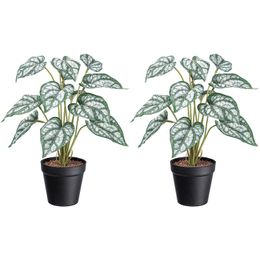 Creativ green K&uuml;nstliche Zimmerpflanze &raquo;Syngonium&laquo; mit gr&uuml;nwei&szlig;en Bl&auml;ttern gr&uuml;n B/H/L: 38cm, 2 Stk.