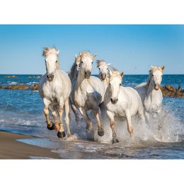 papermoon Fototapete &raquo;Camargue Horses&laquo; glatt bunt Vlies B/L: 3,5m x 2,6m, Bahnen: 7 Stk.