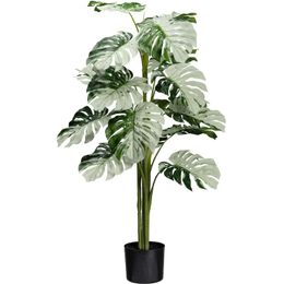 Creativ green K&uuml;nstliche Zimmerpflanze &raquo;Monstera Variegata Halfmoon&laquo; mit au&szlig;ergew&ouml;hnlichem Blattwerk gr&uuml;n B/H/L: 115cm, 1 Stk.