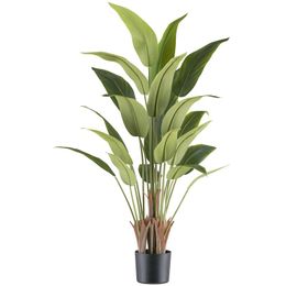 Creativ green Kunstpflanze &raquo;Strelitzia reginae&laquo; mit tollem Blattwerk gr&uuml;n Kunststoff B/H/L: 120cm, 1 Stk.