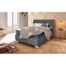 LEONIQUE Boxspringbett &raquo;Rumba&laquo; Taschenfederkern-Matratze in H&auml;rtegrad 3, in 4 Breiten, incl. Topper grau Samtoptik (100% Polyester) Liegefl&auml;che B/L: 140cm x 