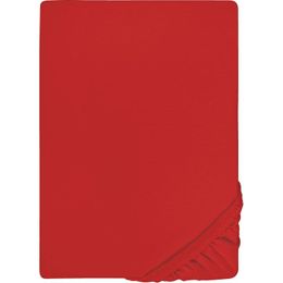 Biberna Spannbettlaken &raquo;Marc&laquo; aus Baumwolle, f&uuml;r Matratzen bis 22 cm H&ouml;he, Bettlaken, Spannbetttuch rot Jersey, Obermaterial: 100% Baumwolle B/L: 200cm, 1 Stk