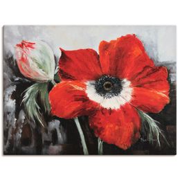Artland Leinwandbild &raquo;Mohnblumen in voller Bl&uuml;te&laquo; Blumen 1 Stk. tlg. auf Holzrahmen gespannt rot Leinwand B/H/T: 80cm x 60cm, Leinwandbild Blumen Querformat, 