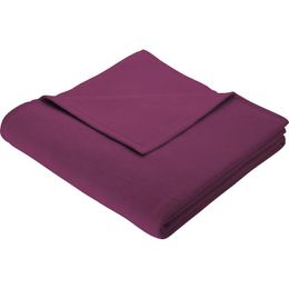 Biederlack Wohndecke &raquo;Cotton Home&laquo; im Uni Design, Kuscheldecke lila Baumwolle, Polyacryl B/L: 150cm x 220cm