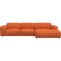 FLEXLUX Ecksofa &raquo;Lucera bequem und komfortabel durch hochwertigen Sitzaufbau, L-Form&laquo; modern & anschmiegsam, Kaltschaum, Stahl-Wellenunterfederung 