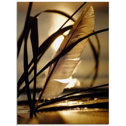 Artland Glasbild &raquo;Feder im Abendlicht&laquo; Gr&auml;ser 1 Stk. tlg. in verschiedenen Gr&ouml;&szlig;en gold B/H/T: 60cm x 80cm, Glasbild Gr&auml;ser Hochformat, 1 Stk.
