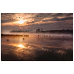 Artland Leinwandbild &raquo;Aufbruch der Zugv&ouml;gel&laquo; Gew&auml;sser 1 Stk. tlg. auf Holzrahmen gespannt braun Leinwand B/H/T: 60cm x 40cm, Leinwandbild Gew&auml;sser Querformat,