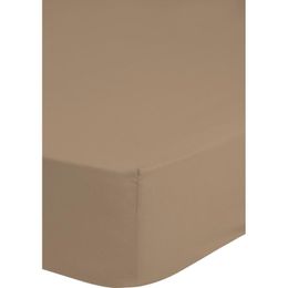 Good Morning Spannbettlaken &raquo;Jersey Spannbettlaken&laquo; 100% Baumwolle, Jersey, Rundumgummi, bis 25 cm h&ouml;he, 90/100x200, Wei&szlig; beige Jersey, Obermaterial: 