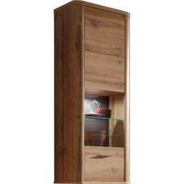 M&auml;usbacher Vitrine braun Einheitsgr&ouml;&szlig;e