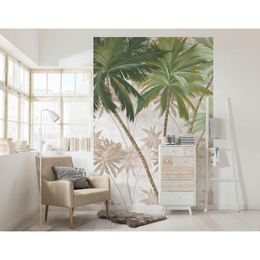 Komar Fototapete &raquo;Vlies Fototapete - Palmera - Gr&ouml;&szlig;e 200 x 280 cm&laquo; Motiv bedruckt glatt gr&uuml;n Vlies B/L: 2m, Rollen: 1