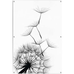 Reinders Poster &raquo;Pusteblume&laquo; leichtes und wasserfestes Gartenposter f&uuml;r den Au&szlig;eneinsatz schwarz Leinwand B/H/T: 80cm x 120cm x 0,1cm