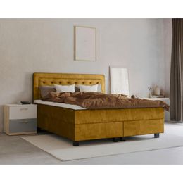 Home Affaire Boxspringbett &raquo;Jeanne&laquo; inkl. Topper mit Taschen-Federkernmatratze gelb 100% Polyester Samtvelours, Liegefl&auml;che B/L: 160cm x 200cm, H2/H3,