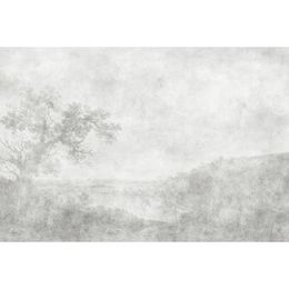 Livingwalls living walls Fototapete &raquo;Walls by Patel Romantic River&laquo; glatt Vlies, Wand grau Vlies B/L: 4m x 2,7m
