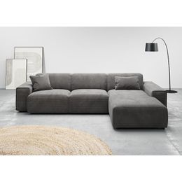 Home Affaire Ecksofa &raquo;Glimminge auch in Breitcord, Feincord, Boucl&eacute; + Easy care-Bezug&laquo; L-Form, Breite 294, Zierkissen grau 12% Polyaxryl, 88% 