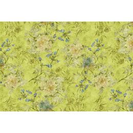 Livingwalls living walls Fototapete &raquo;Walls by Patel Tender Blossom 1&laquo; glatt Vlies, Wand, Schr&auml;ge gr&uuml;n Vlies B/L: 4m x 2,7m