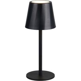 REALITY LEUCHTEN LED Tischleuchte &raquo;DIAZ, Outdoor Akku Tischlampe H&ouml;he 21 cm &Oslash; 8,5 cm, IP44, Touchdimmer&laquo; LED-Board 1 Stk. Farbwechsler warmwei&szlig; - 