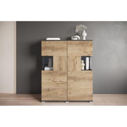 OTTO home Highboard &raquo;Kenia&laquo; 1 Stk. tlg. Modernes Highboard mit Glast&uuml;ren, Breite 100 cm grau B/H/T: 100cm x 120cm x 39,5cm, 2 Stk.