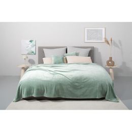 OTTO home Tagesdecke &raquo;Desner3&laquo; mit Cashmere-Touch, viele Farben erh&auml;ltlich, Decke ab 140x210 cm gr&uuml;n Polyester B/L: 250cm x 280cm