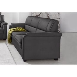 Sit & More sit&more 3-Sitzer &raquo;Pisa&laquo; mit Federkern grau Flachgewebe (100% Polyester) / Struktur (100% Polyester);Luxus-Microfaser ALTARA NUBUCK (100% Polyester) /