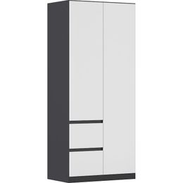 Rauch Dreht&uuml;renschrank &raquo;Mehrzweckschrank Aktenschrank Mietswohnung Garderobe MAINZ 91cm breit&laquo; 3 verschiedene Ausstattungen BASIC/CLASSIC/PREMIUM (