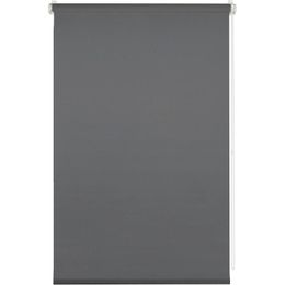 Gardinia Seitenzugrollo &raquo;Uni Klemmrollo&laquo; Lichtschutz Sichtschutz mit Bohren/ohne Bohren freih&auml;ngend Schraubmontage m&ouml;glich grau Polyester 150cm, 