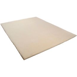 Theko Wollteppich &raquo;Amravati, handgekn&uuml;pft&laquo; rechteckig 28 mm H&ouml;he echter Berber Teppich, reine Wolle, auch als L&auml;ufer, Wohnzimmer wei&szlig; Wolle B : 250cm 