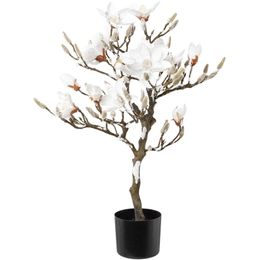 Creativ green Winterliche Kunstpflanze &raquo;Weihnachtsdeko&laquo; Baum mit beschneiter Optik wei&szlig; Polyester B/H/L: 65cm x 87cm, 1 Stk.