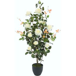 I.GE.A. Kunstbaum &raquo;Rosenbusch im Topf&laquo; Kunstrosen Kunstpflanzen Rosenstrauch Deko Hochzeit wei&szlig; Obermaterial: 95% Polyester, 5% Kunststoff B/H/L: 45cm