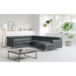 COTTA Wohnlandschaft &raquo;Sammy U-Form, B: 304 cm&laquo; Kopfteilverstellung, optional Schlaffunktion & Bettkasten grau NaturLEDER , die R&uuml;ckseite ist mit 