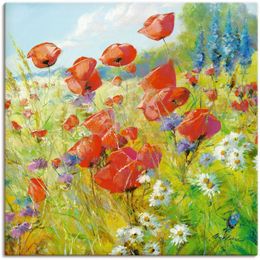 Artland Leinwandbild &raquo;Sommerwiese mit Mohnblumen&laquo; Blumenwiese 1 Stk. tlg. auf Holzrahmen gespannt bunt B/H/T: 40cm x 40cm, Leinwandbild Blumenwiese, 1 Stk.