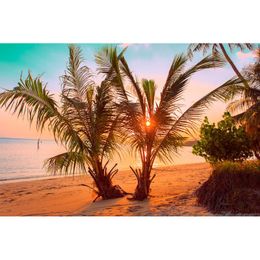 papermoon Fototapete &raquo;Tropischer Sonnenuntergangsstrand&laquo; bunt Vlies B/L: 3m x 2,23m, Bahnen: 6 Stk.