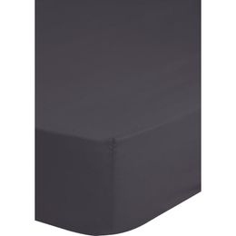 Good Morning Spannbettlaken &raquo;Jersey Spannbettlaken&laquo; 100% Baumwolle, Jersey, Rundumgummi, bis 25 cm h&ouml;he, 90/100x200, Wei&szlig; grau Jersey, Obermaterial: 