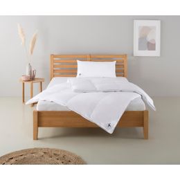 OTTO home Daunenbettdecke + Kopfkissen &raquo;Lodiken, Bettdecke 135x200 cm, 155x220 cm, Decke Made in Germany&laquo; Set mit Kissen 40x80 cm, 80x80 cm, Fr&uuml;hling,