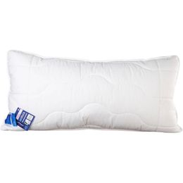 Jekatex Nackenst&uuml;tzkissen &raquo;Kissen Basic&laquo; F&uuml;llung: Microfaser Bezug: Polyester 1 Stk. tlg. Zertifiziert durch die Aktion gesunder R&uuml;cken (AGR) e.V. wei&szlig; B/H/L: