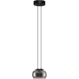 NOVA LUCE Pendelleuchte &raquo;BIOS&laquo; LED-Modul 1 Stk. Warmwei&szlig; schwarz 1, &Oslash; 18cm H: 166cm, 1 Stk.