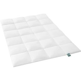 fan Daunenbettdecke &raquo;f.a.n. Canada&laquo; extrawarm 1 Stk. tlg. wei&szlig; Bezug: 100% Baumwolle. F&uuml;llung: 90% Entendaune, 10% Entenfeder B/L: 155cm x 220cm, 